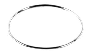 Flieringa Scleral Fixation Ring AM0330 21 – MicroSurgical Technology